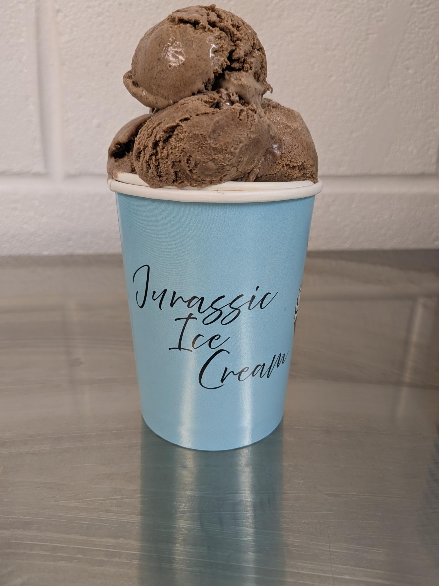 450ml Vegan Chocolate Ice Cream – Jurassic Ice Cream